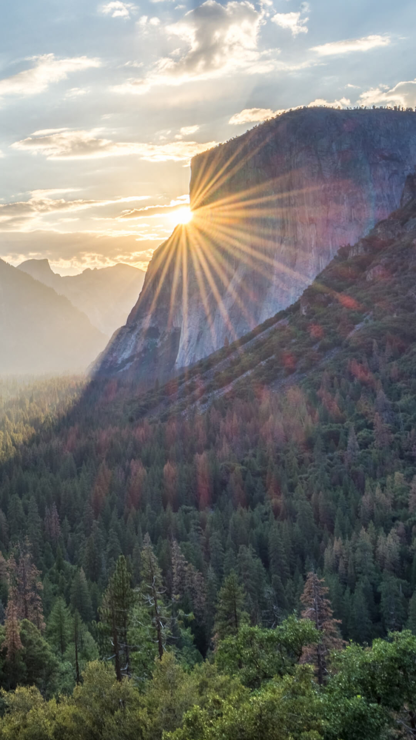 Contact - Free Air Life